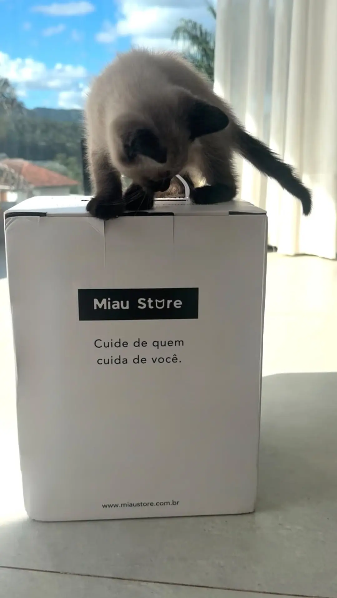 Home - Miau Store